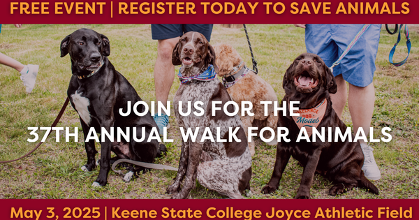 MHS Walk for Animals - 2025 Walk for Animals